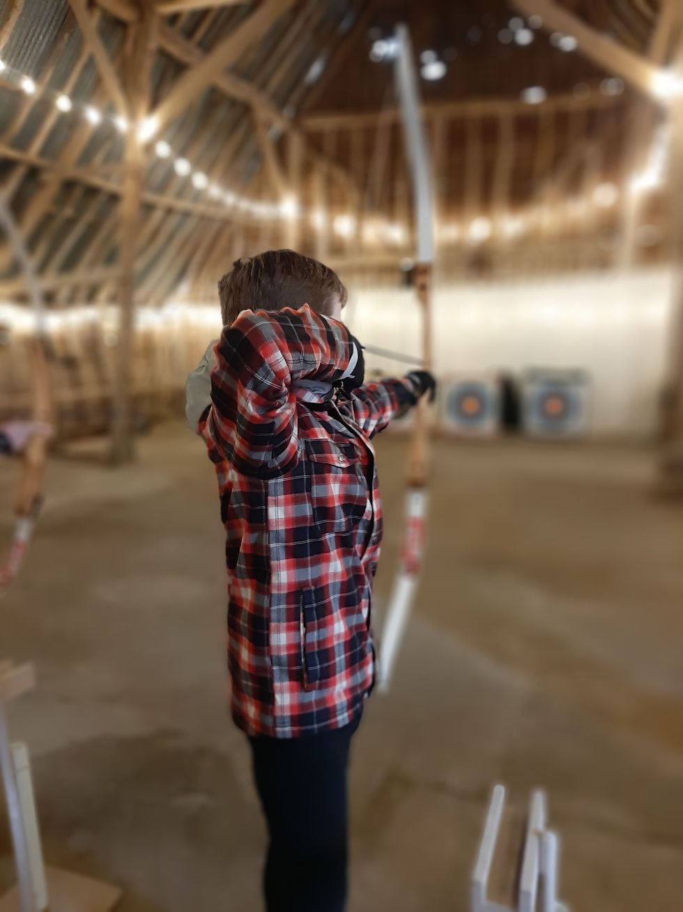 Home | wildlycurious