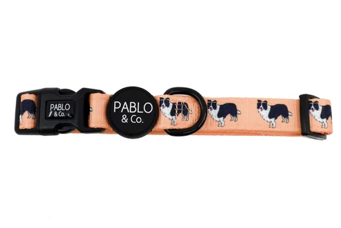 Pablo & Co - Border Collie Collar | Dapper Dog Grooming
