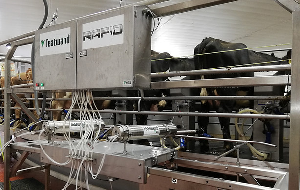 Onfarm Solutions | ALL PRODUCTS | Teatwand systems | Automatic teat ...