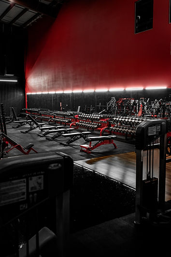 Roman Empire Gym | Powerlifting | Bodybuilding | Personal Training ...