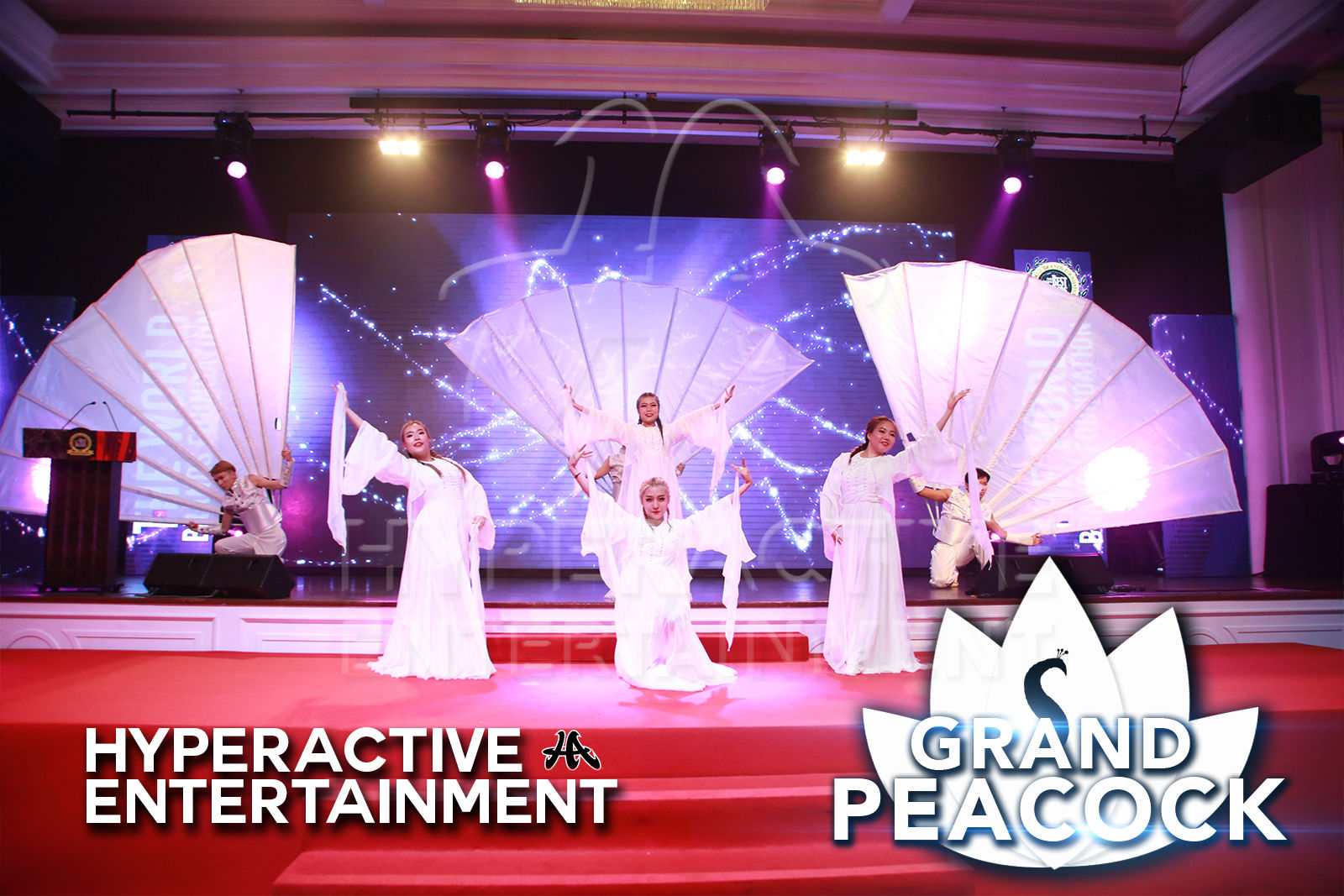 The Malaysia FIRST EVER Grand Peacock