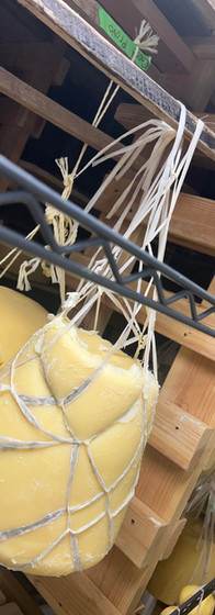 HOME | Jersey Girl Cheese | Italian Cheesemaker