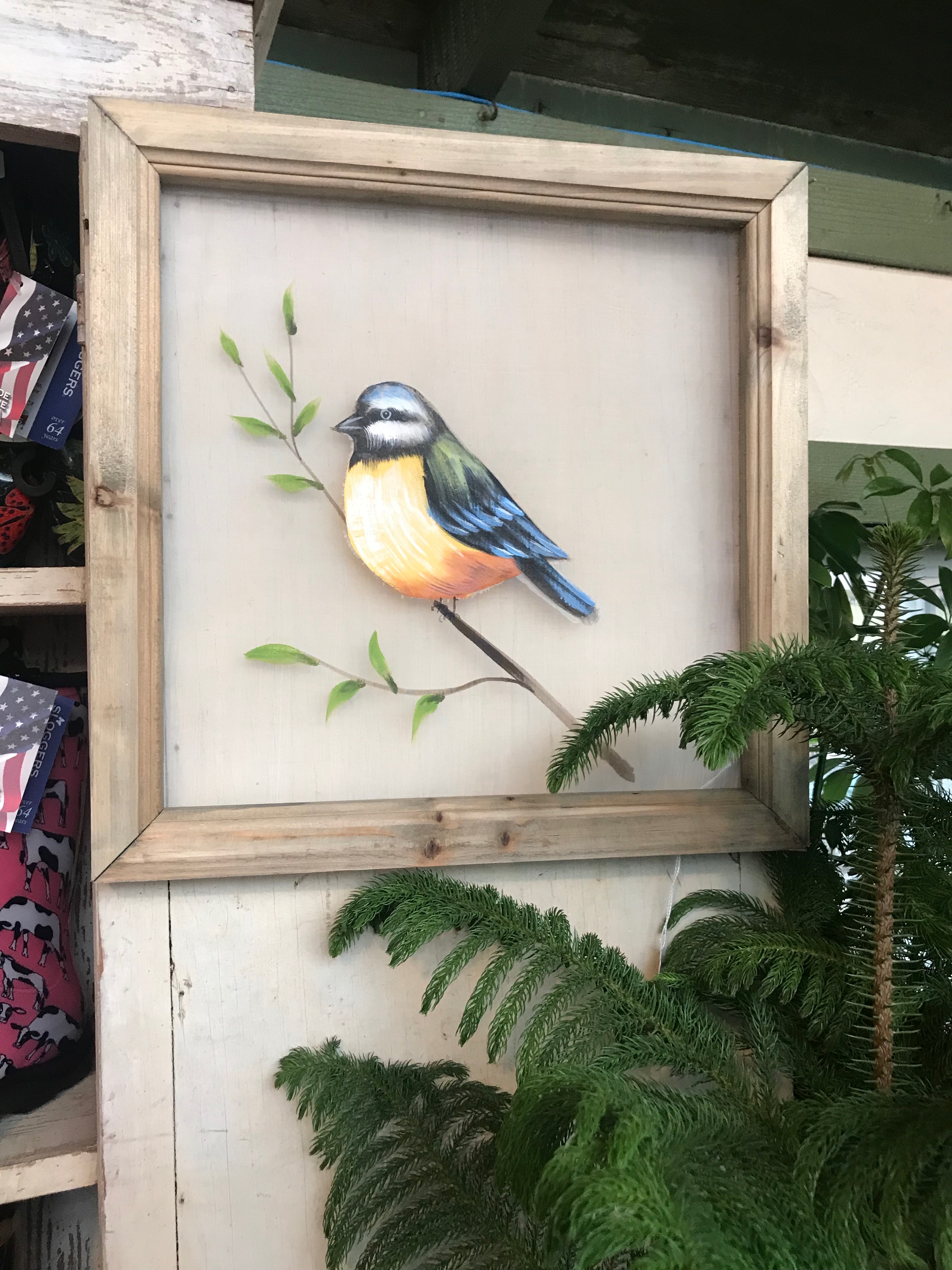 Springfield MO Garden Center & Nursery