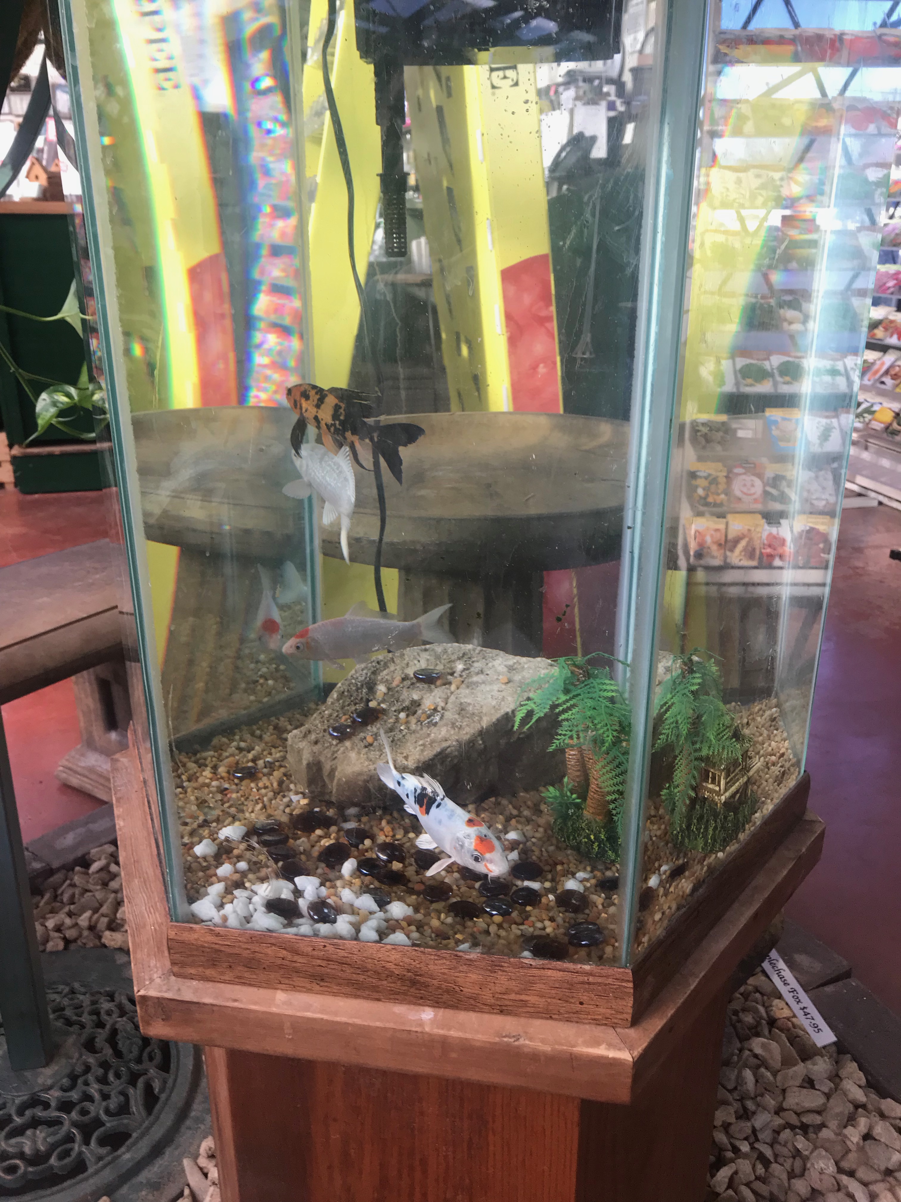 Springfield MO Garden Center & Nursery