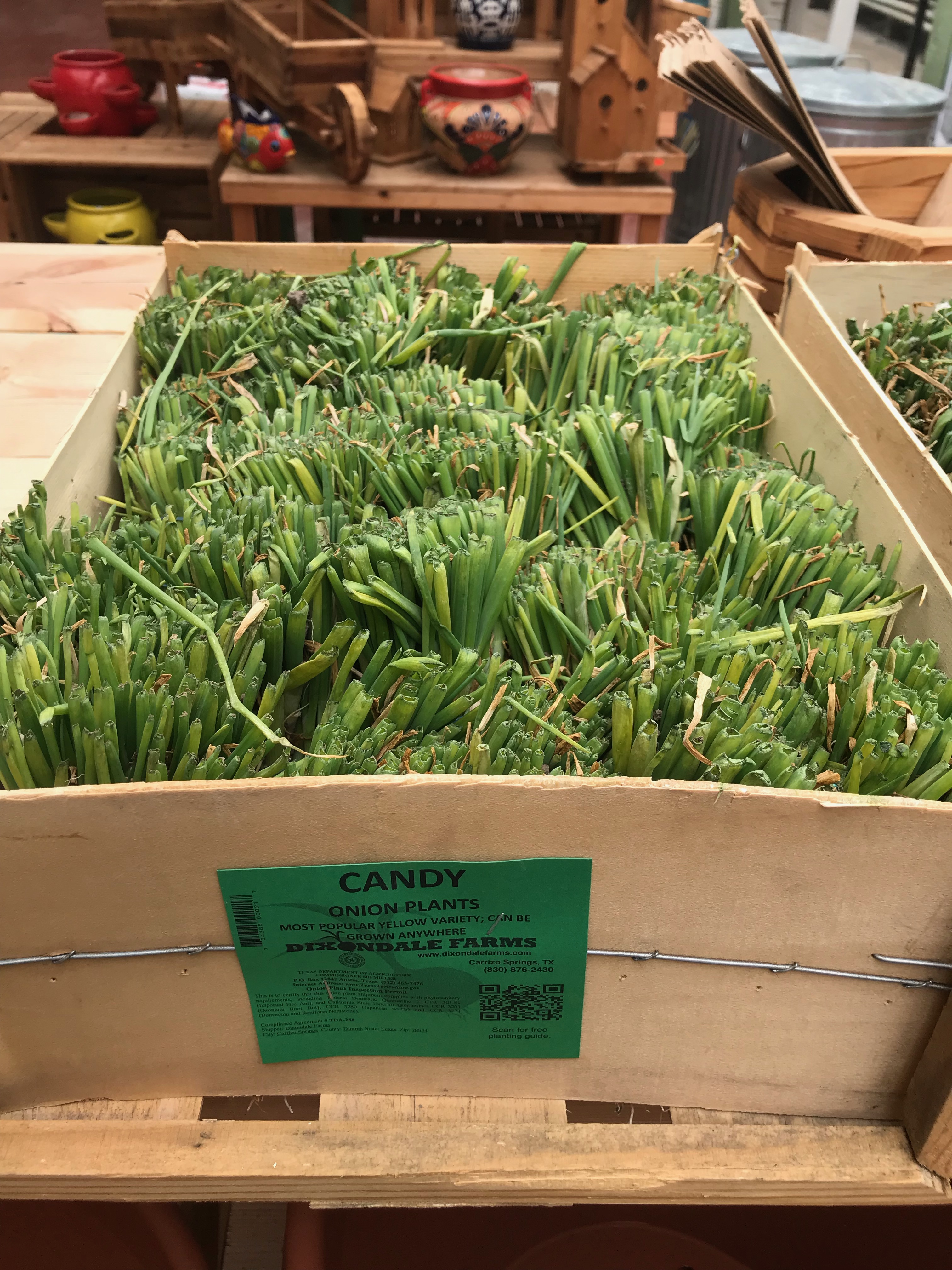 Springfield MO Garden Center & Nursery