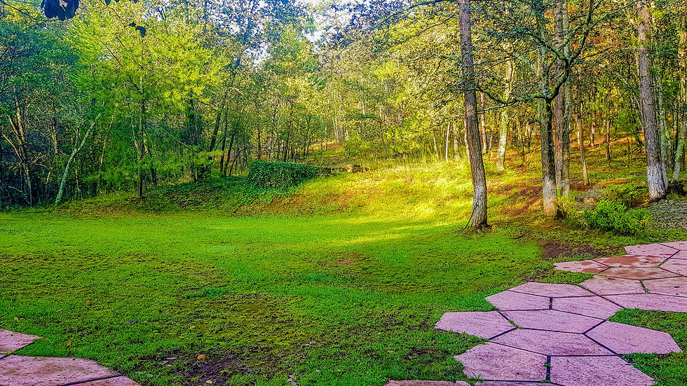 INICIO | Bosque Real deHuasca