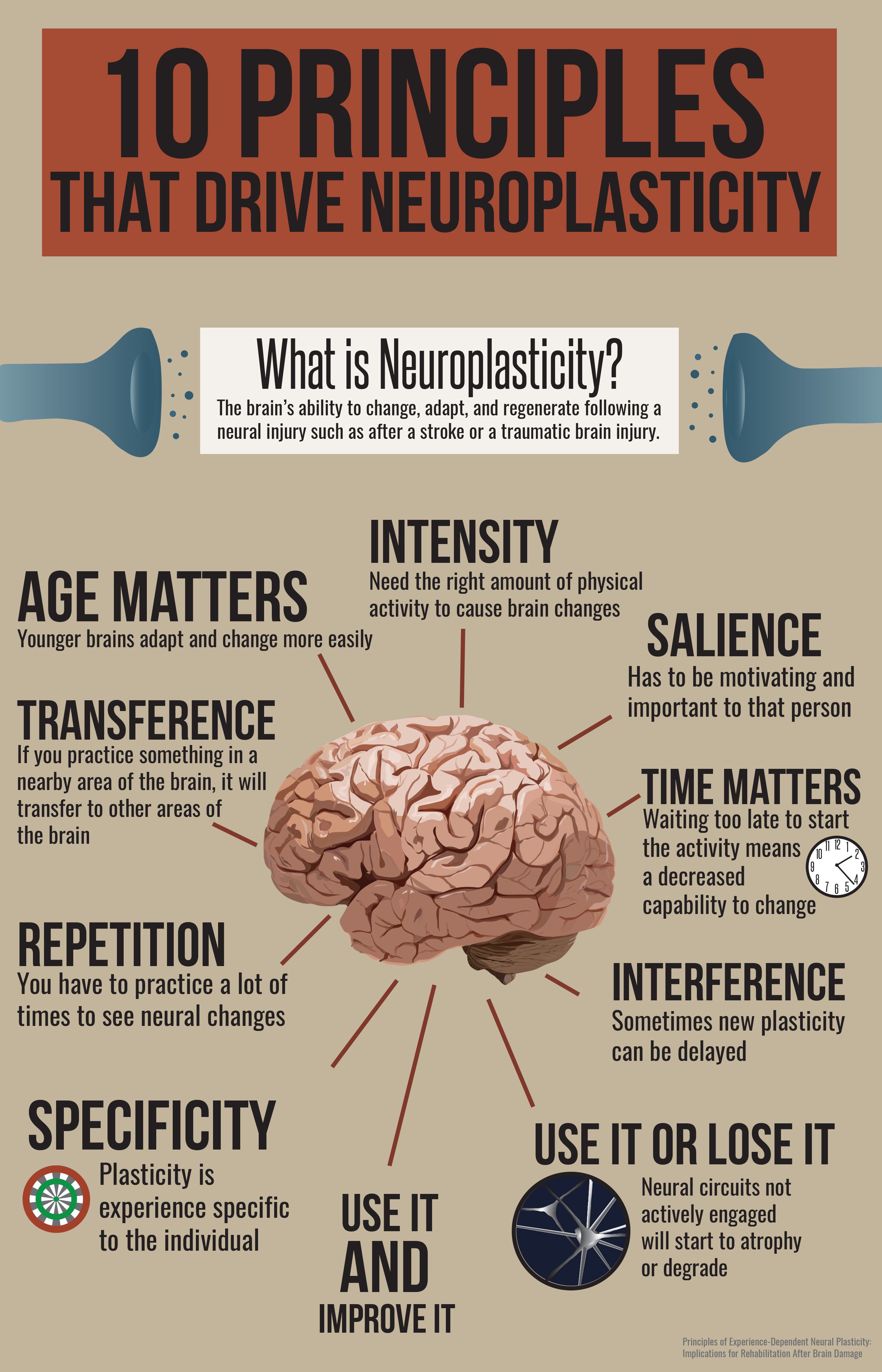 How Does Neuroplasticity Work Infographic - vrogue.co How Does Neuroplasticity Work Infographic - vrogue.co