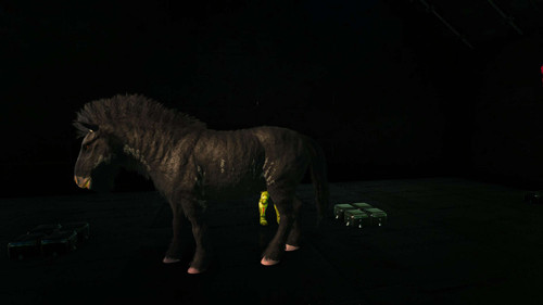 Aberrant equus (actual black/high level) [PS PVE] | Arknomaly