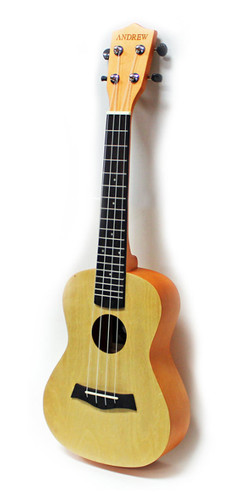 Andrew Concert Ukulele | MusicM