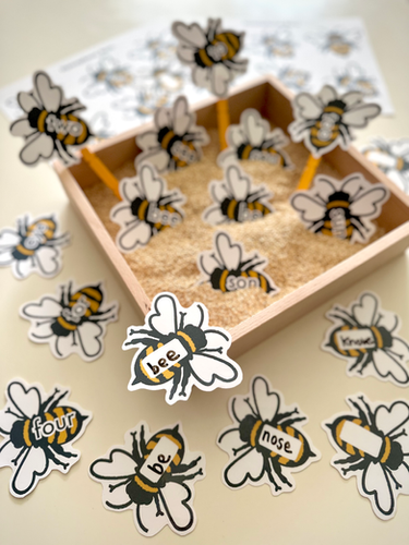 Homophone Bees | HappyLearningMoments