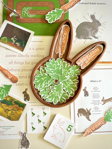 Eastern Cottontail Rabbit Unit Study | HappyLearningMoments