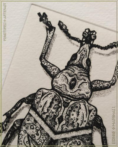 ETCHING | TETRA BEETLE - Dionne Marshall Punctured Artefact