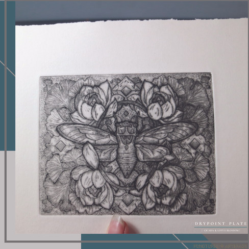 Drypoint , Intaglio, Etching & Printmaking | Punctured Artefact | Artist
