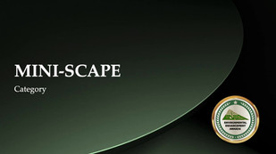 LINLA Award Winner Gallery | LINLA