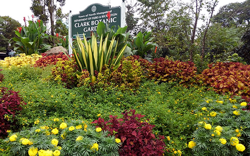 Patron Membership | Clark Botanic Garden