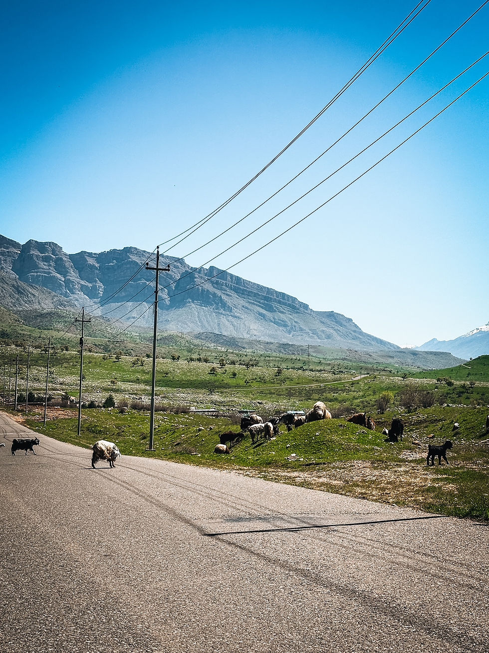 Iraq Travel: Everything You Need to Know in 2024