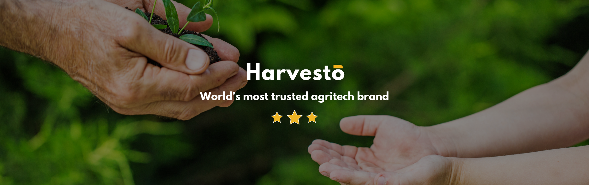Harvesto | Legacy of Quality, Commitment & Trust