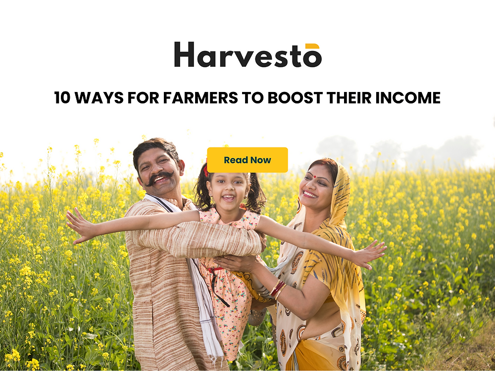 10 ways for farmers to boost their income