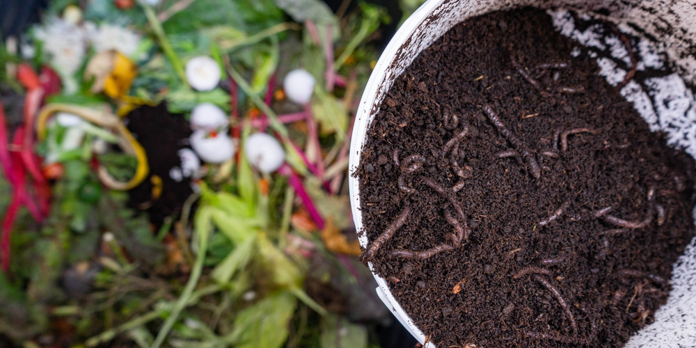 Classroom Composting 101 | Let's Go Compost