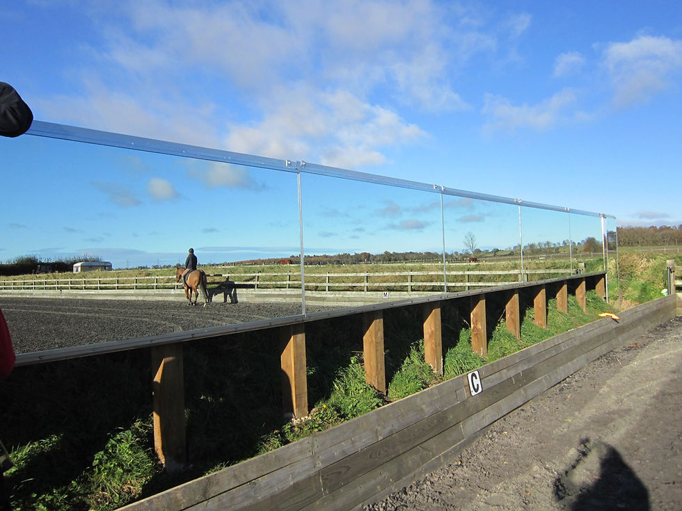Dressage Mirrors | Arena Mirrors | United Kingdom