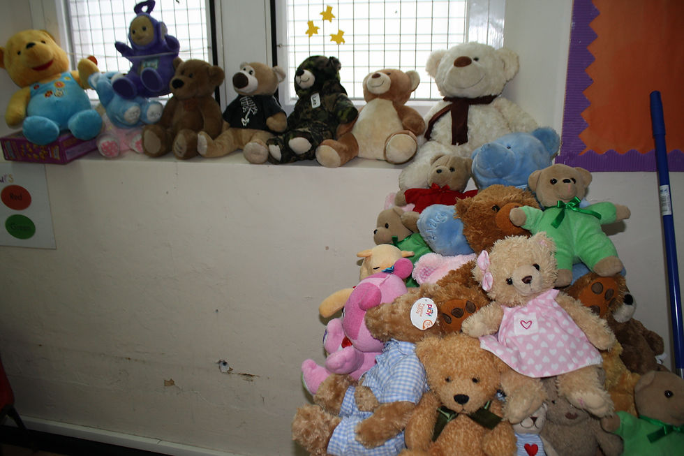 2014/15 Teddy Bears picnic - Nursery | st-bernards-first