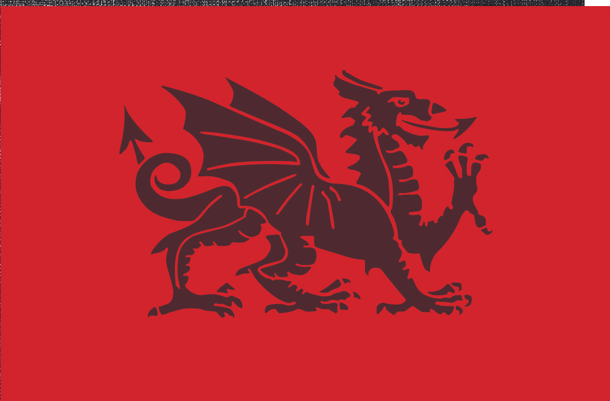 Red Dragon Conservation | art conservation | San Francisco, CA, USA