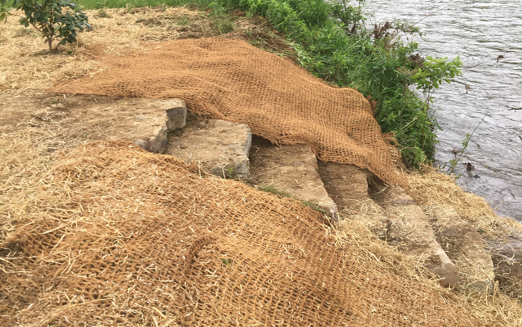 STREAM RESTORATION | Foggy Mountain