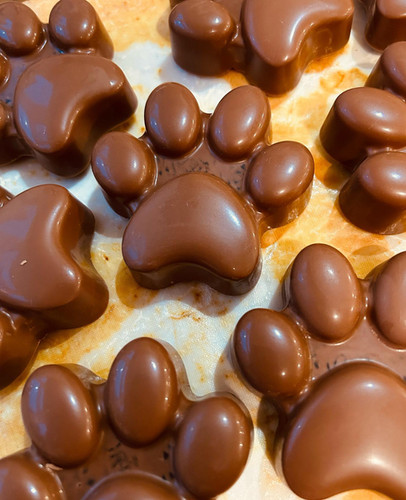 Belgian Chocolate Oreo Paw Prints | Chocolate, Bakes & L