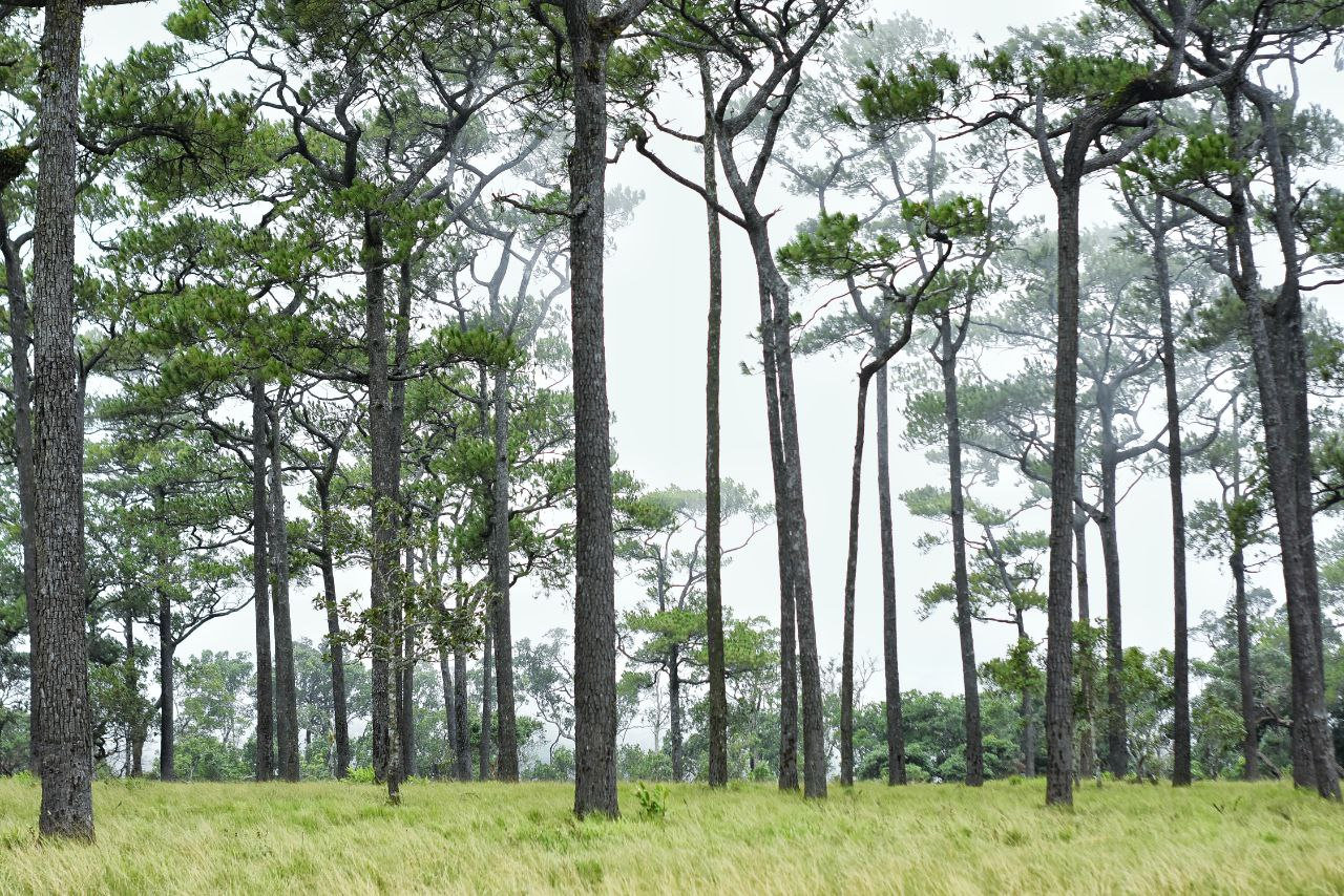 RESPONSIBLE TREKKING | YEP ACADEMY