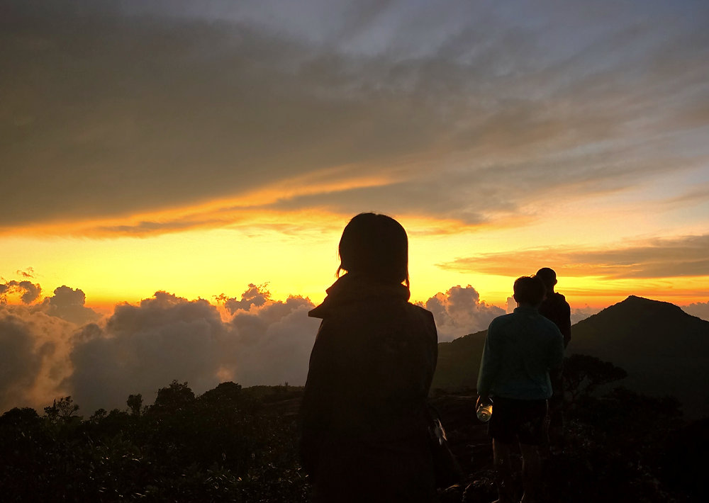 Why Feeling Lost Can be a Guide, Not a Failure