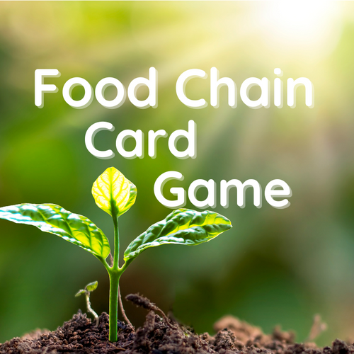 Food Chain Game | Origins Store