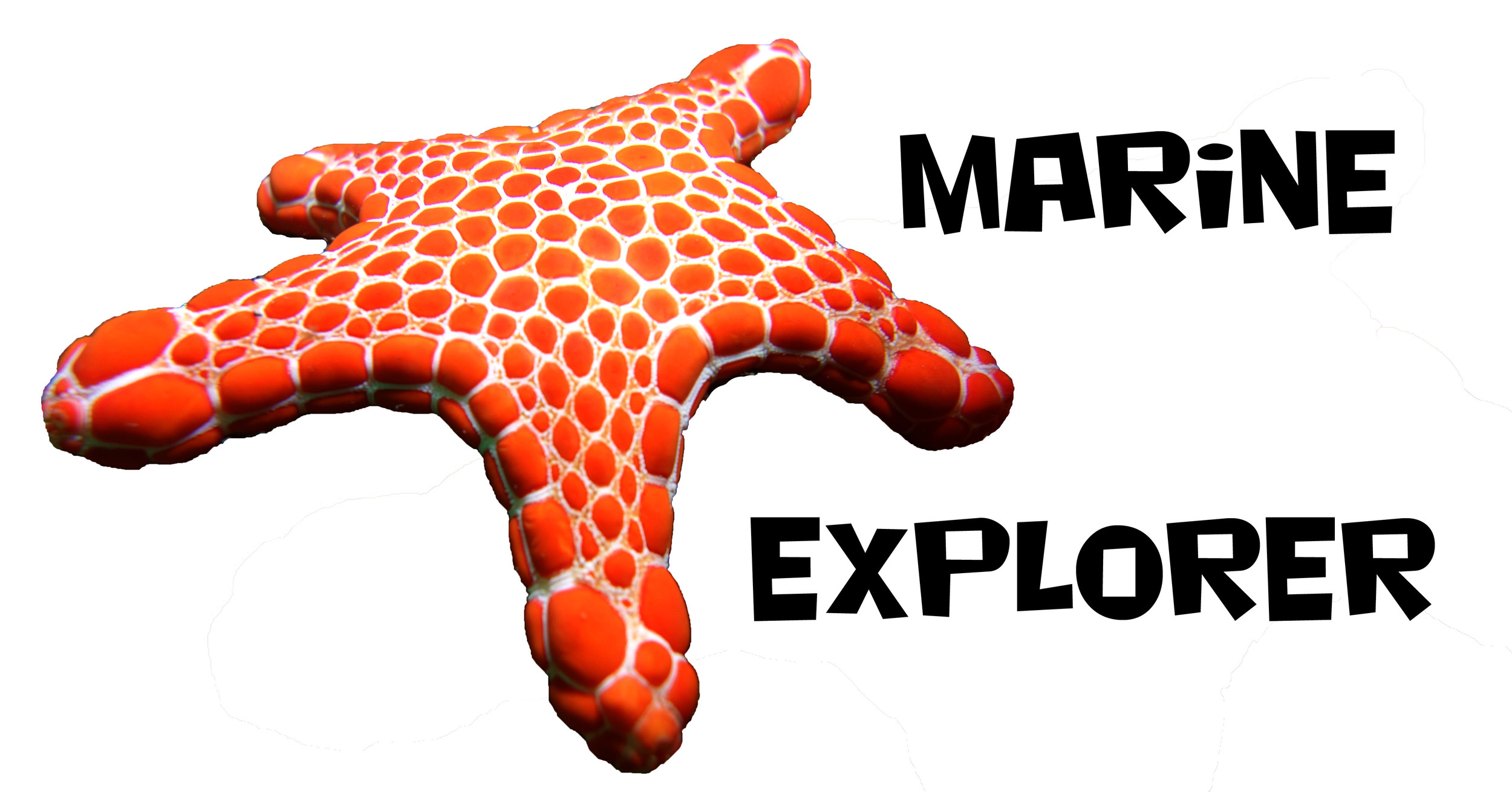 Marine Conservation | Marine Explorer