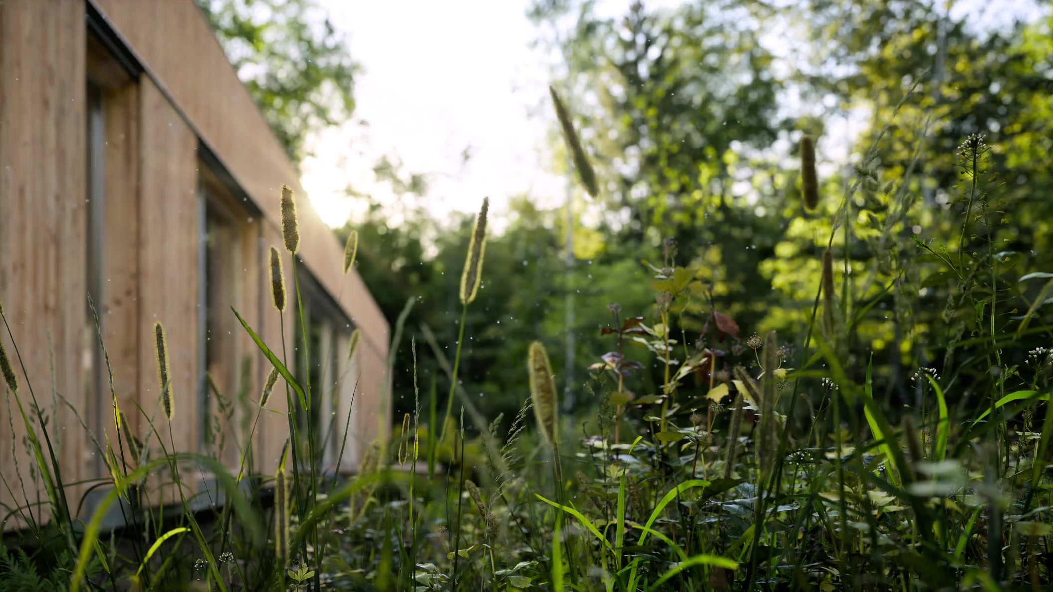 Videos | ZORE Studio