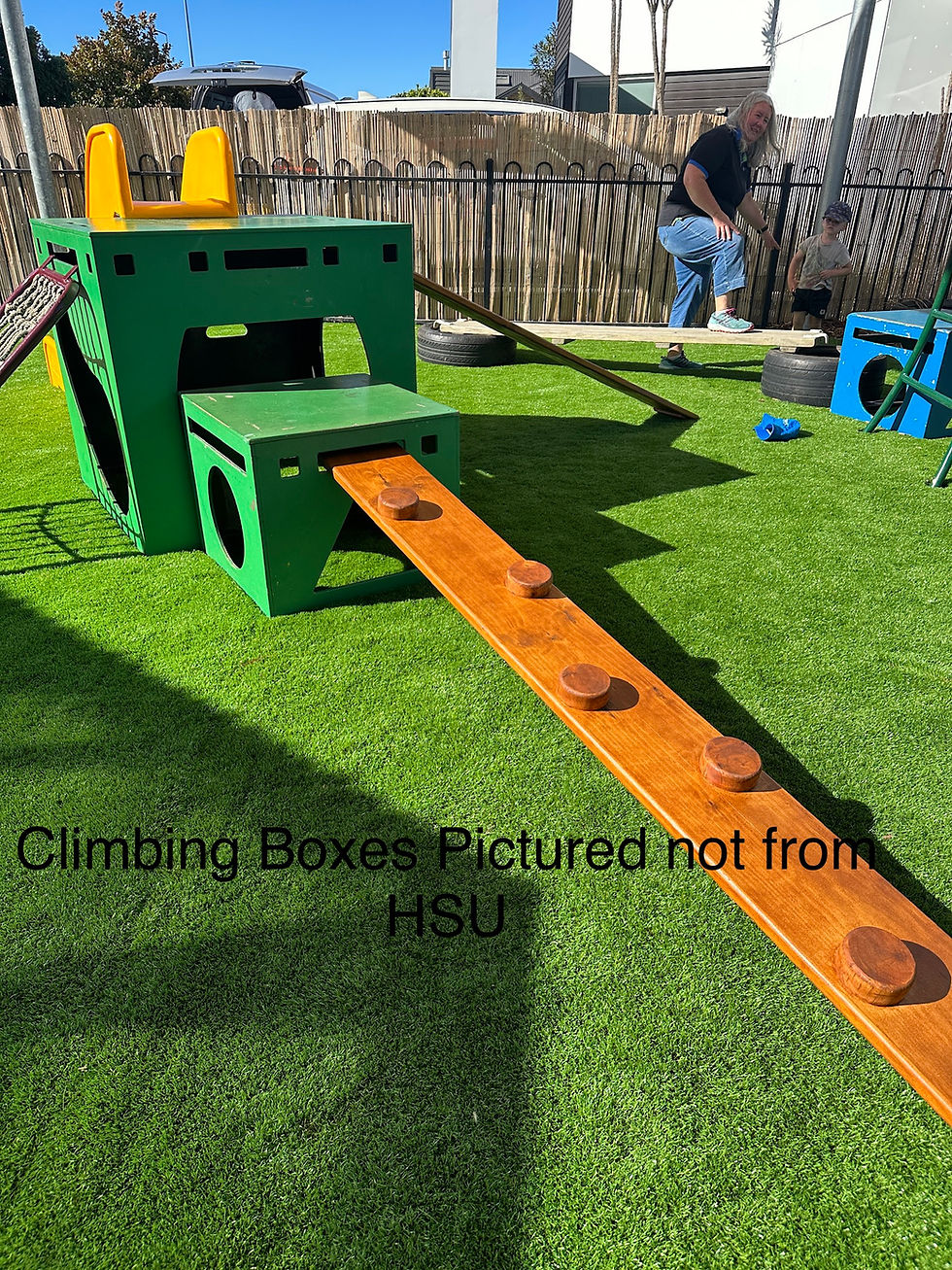 2 Metre Custom made playground planks | HSU Products