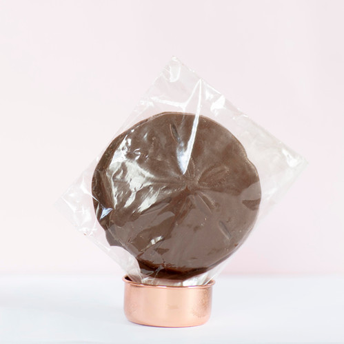 Chocolate Sand Dollar | Willey's