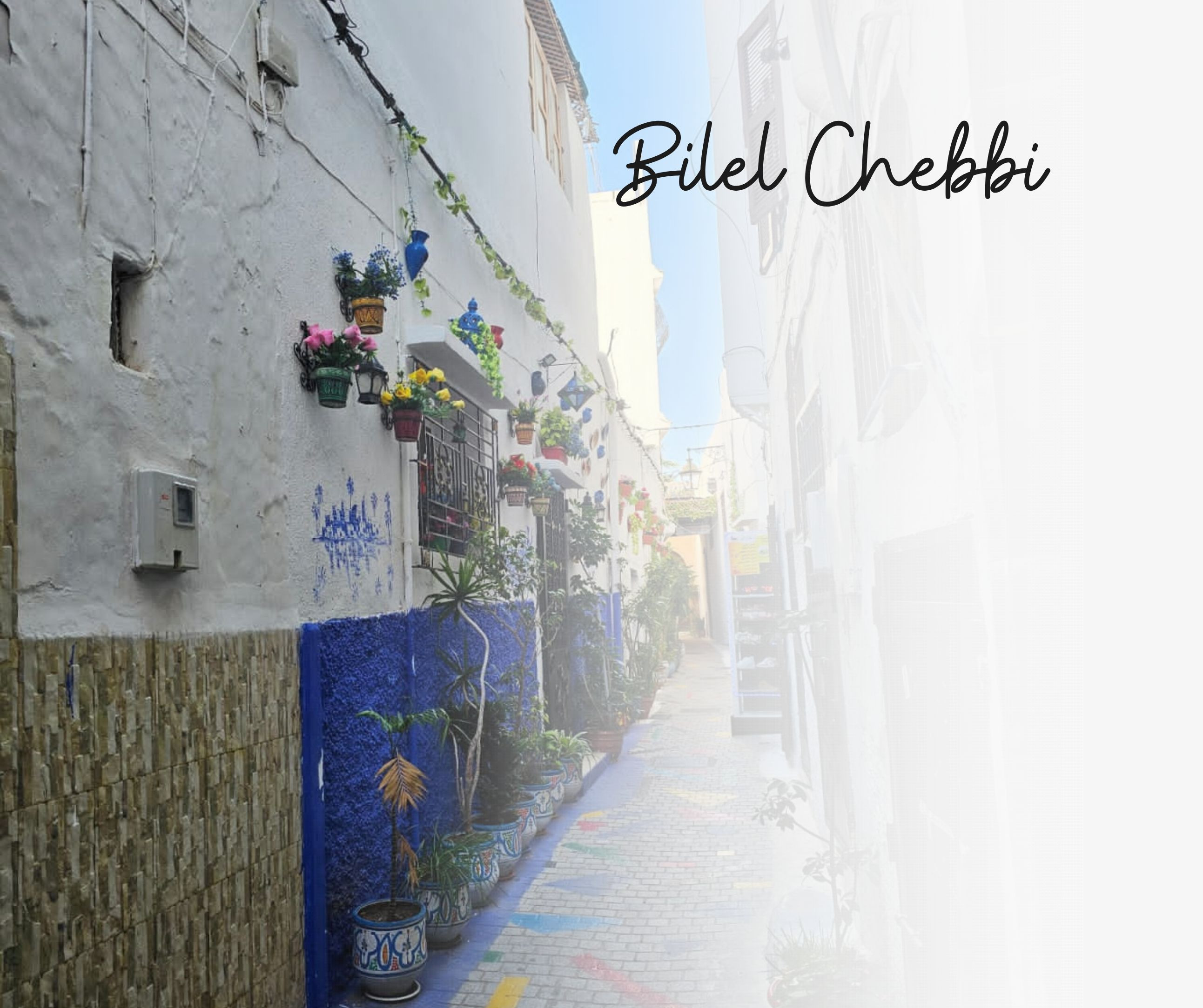 Exhibition of Dans les ruelles de Rabat ... | ICESCO Creative