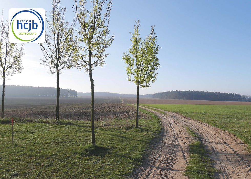 Start | Hcjb Deutschland