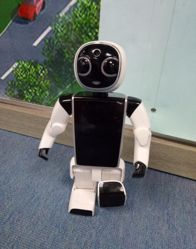 CNC Machining Wonder Boy Robot PC ABS Brass Aluminum Prototypes | sgproto