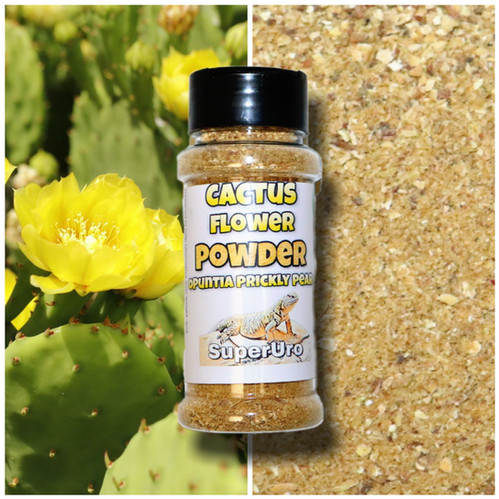 Cactus flower powder topping (Prickly pear) | SuperHerbivore.com