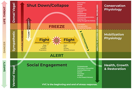 Ruby Jo Walker, LCSW | Southwest Trauma Training | Polyvagal Theory