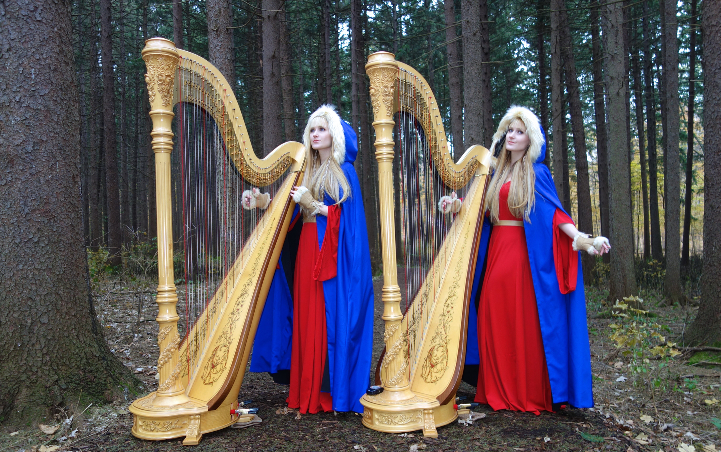 Photos | harptwins.com