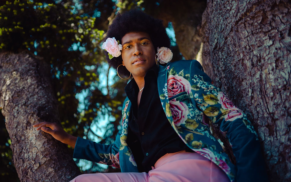 Home | The Unpaved Boulevard