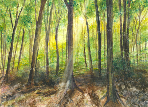 Hodds Wood, Chesham. Print | aberthelsenjewellery