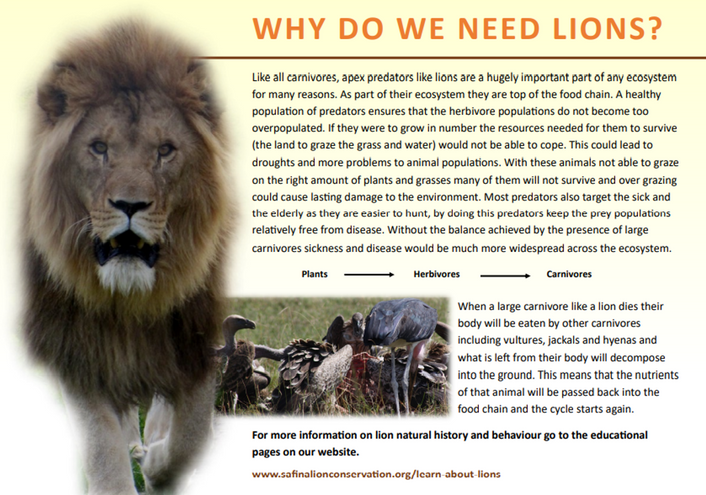 Overview | safinaconservation