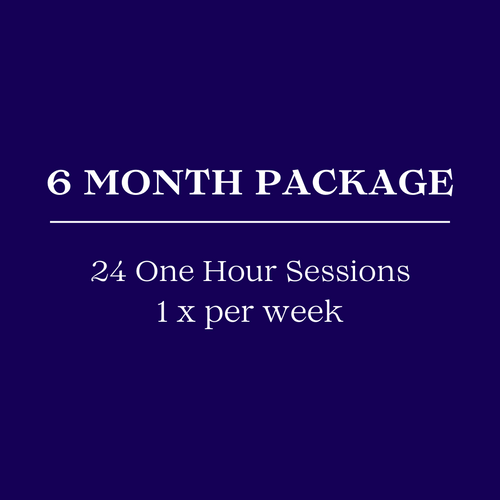 6 MONTH PACKAGE | New Space Life Coach