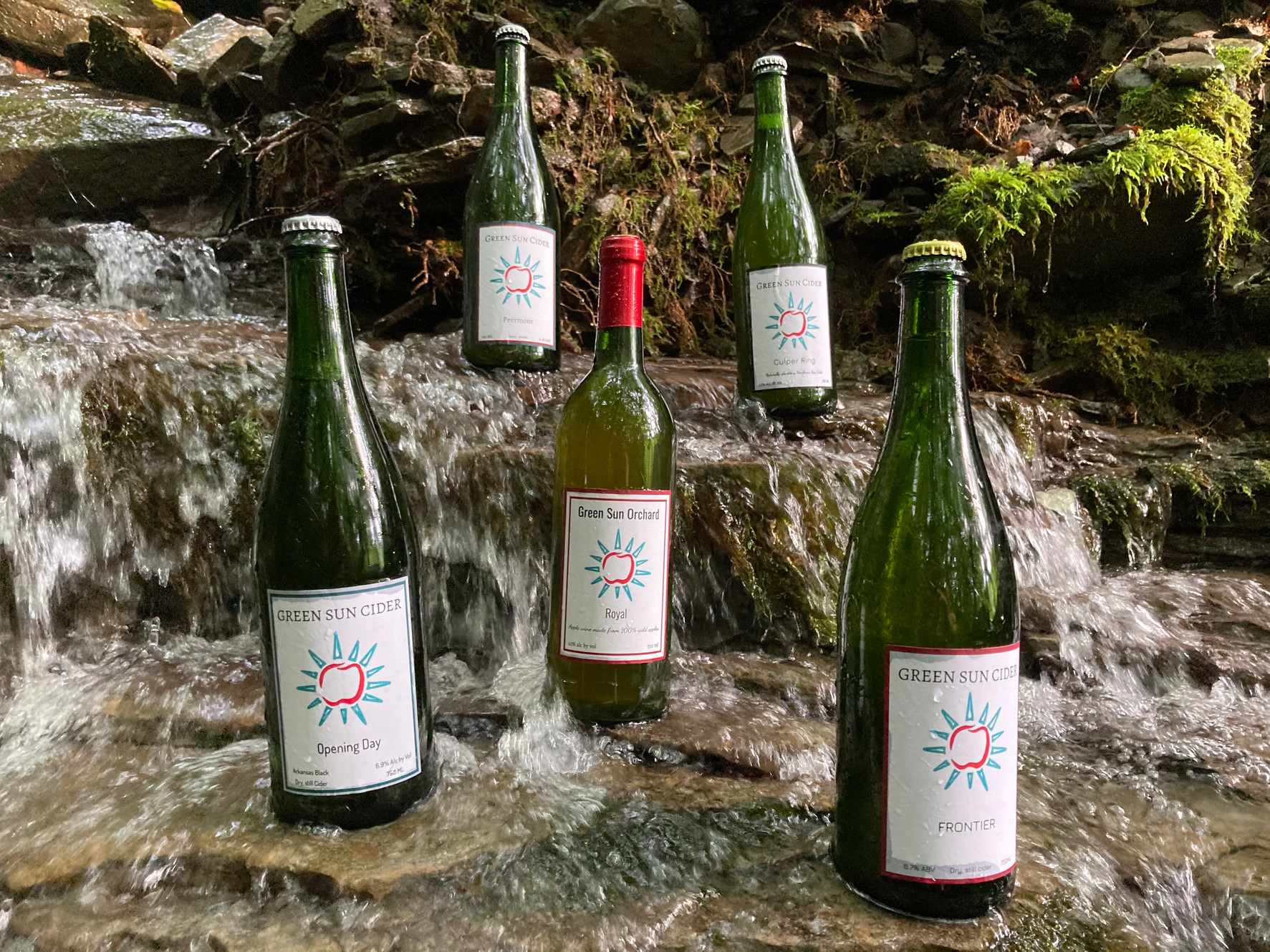 CONTACT | Green Sun Orchard