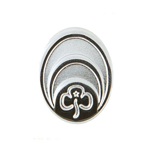 Special Invite for Commissioners | Girlguiding Cornwall