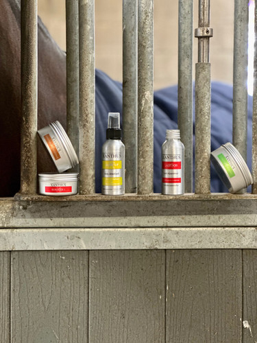 Coffret Xanthus | Xanthus Horse Care