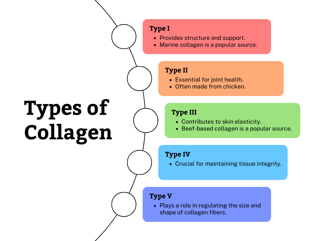 The Science Behind Collagen Supplements