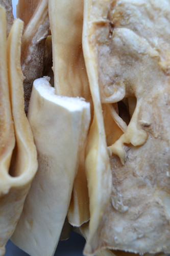 Goat Head Skin | My Site